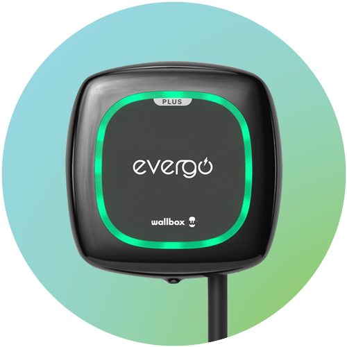 Evergo Madres 2024 - Evergo